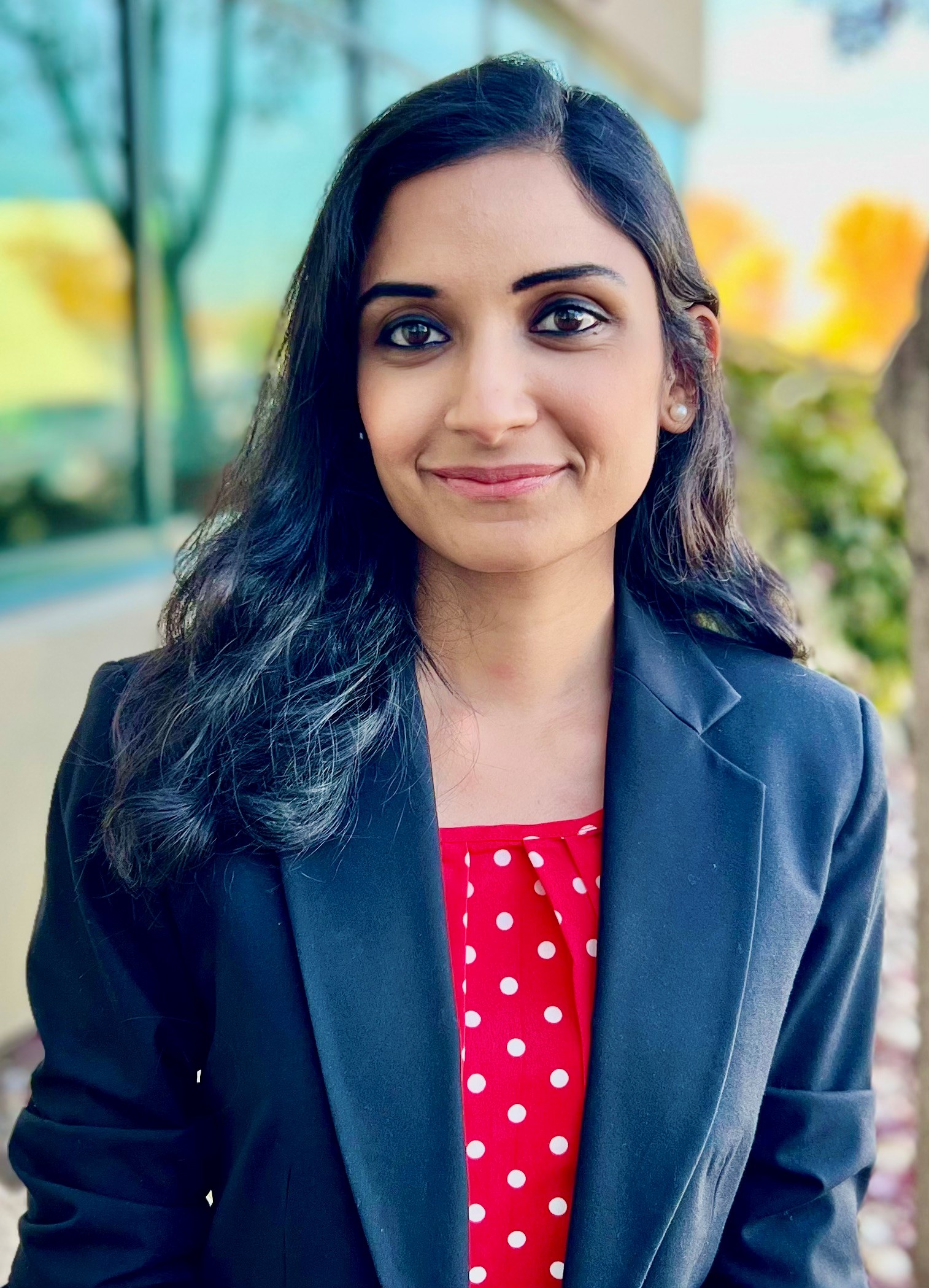 OUR TEAM - Summit Legal Group